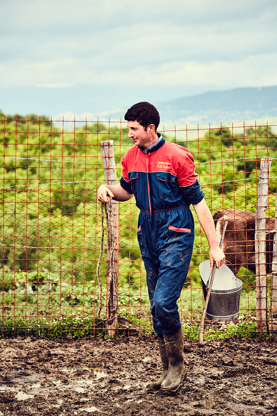 Il racconto per immagini della Latteria Salvia Maria - Il Fatto Quotidiano