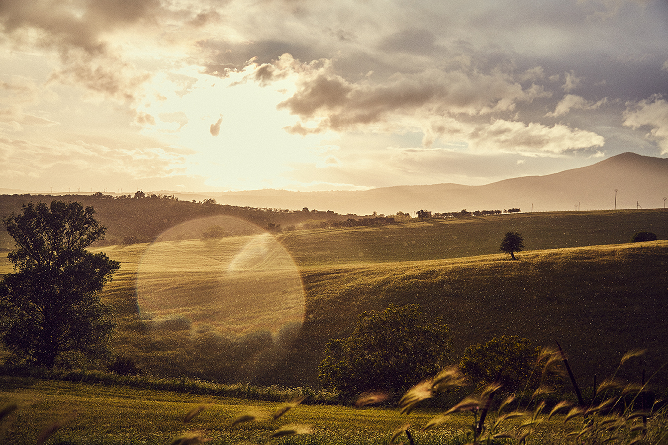 Il racconto per immagini della Latteria Salvia Maria - Il Fatto Quotidiano
