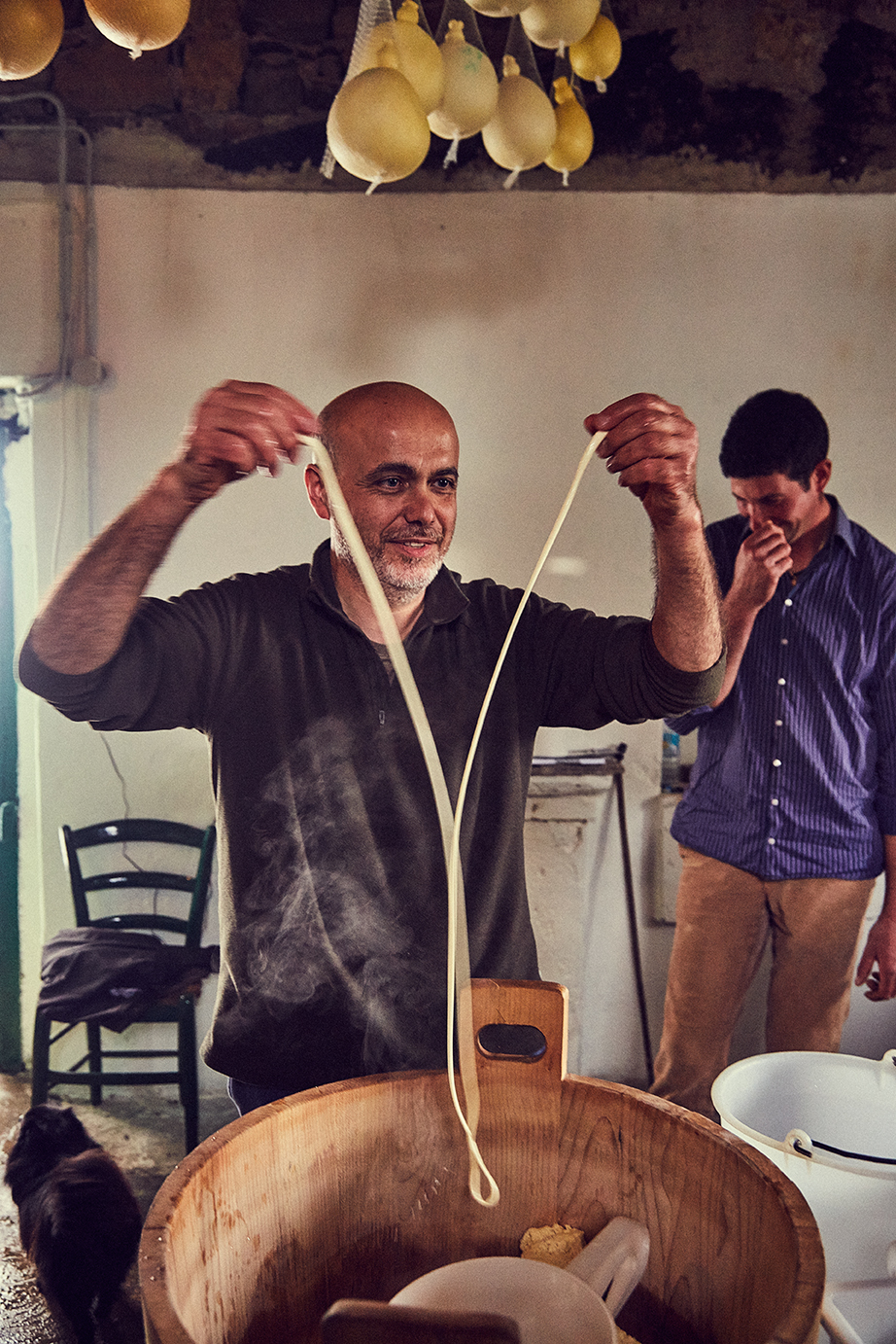 Il racconto per immagini della Latteria Salvia Maria - Il Fatto Quotidiano