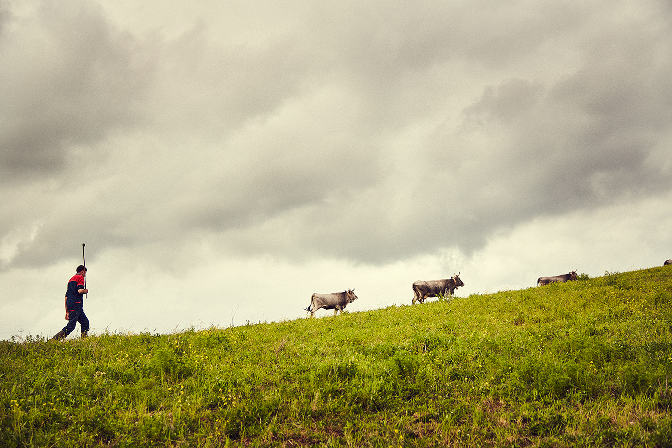 Il racconto per immagini della Latteria Salvia Maria - Il Fatto Quotidiano
