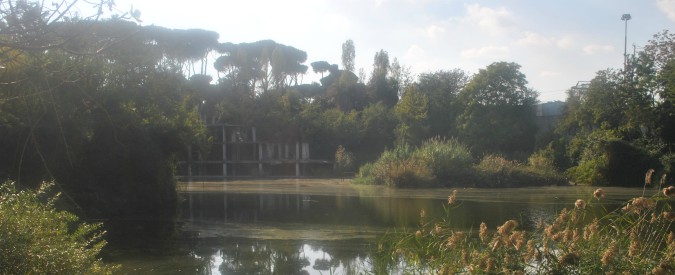 Roma, lago Ex Snia: un miracolo in mezzo ai palazzi del Prenestino - Il ...