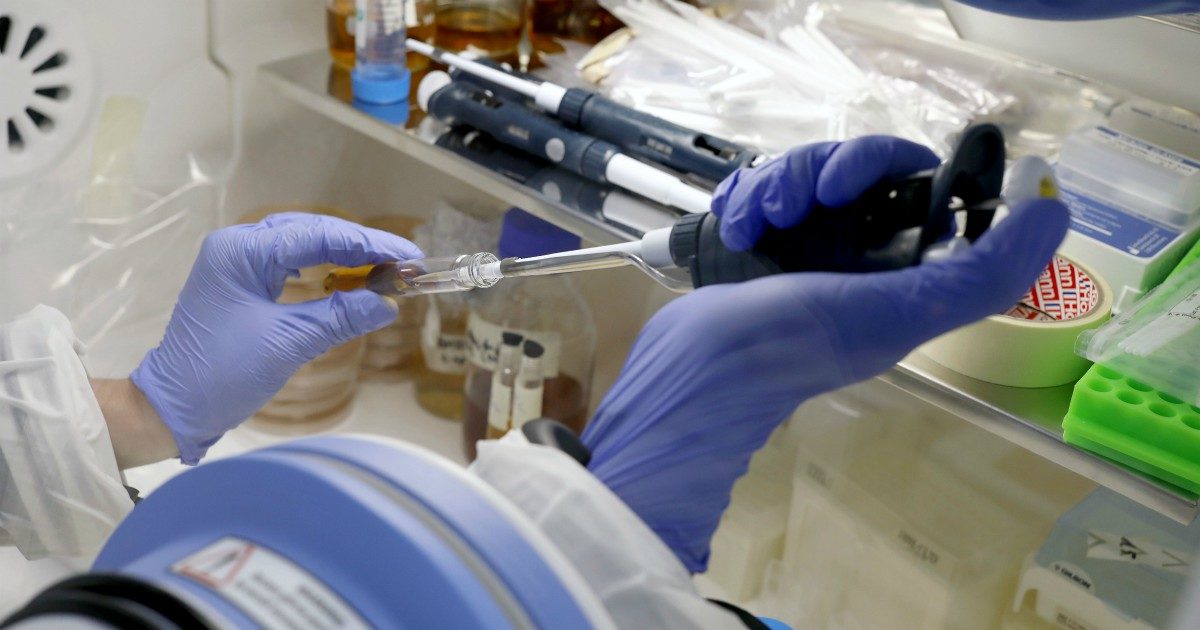 Tumore al pancreas, scoperta dagli scienziati italiani la strategia del ...