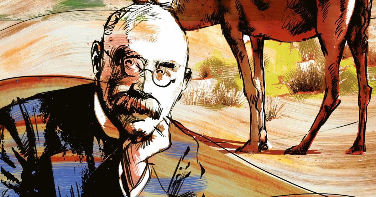 Ecco come è venuta la gobba al dromedario - Il Fatto Quotidiano