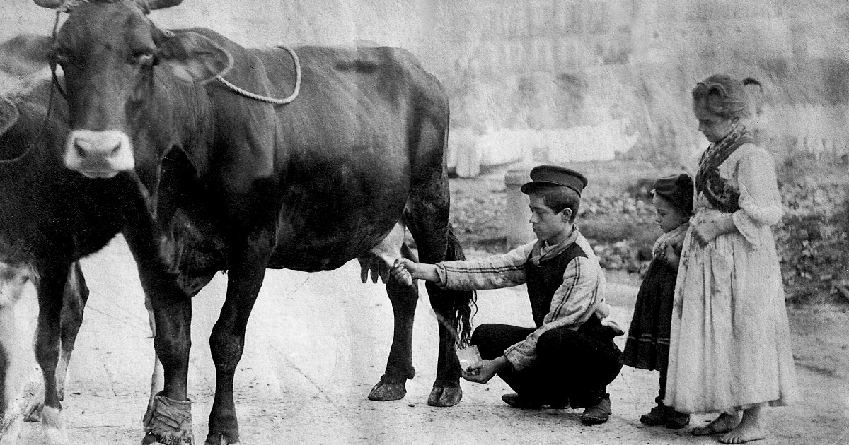 Monaci, finocchi e lattai: dove nascono i modi di dire - Il Fatto ...