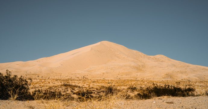 Canarie, l'appello degli scienziati: Canarie, l'appello degli scienziati: