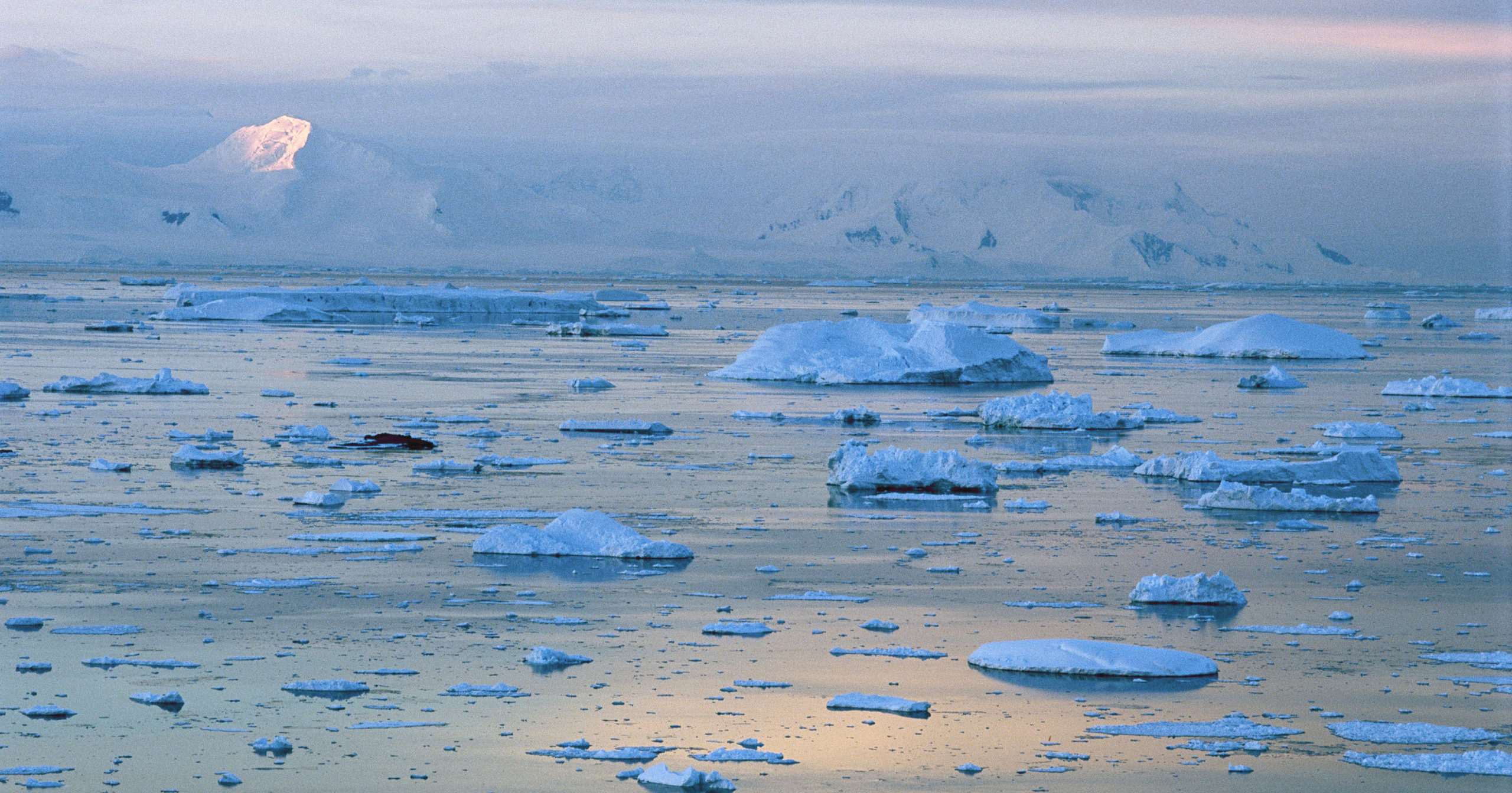 Così le calotte polari subiranno il collasso totale e irreversibile ...
