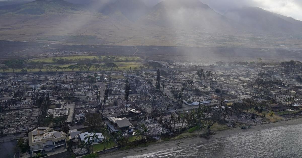 Incendi Hawaii, 80 morti e più di 1400 sfollati. Polemica sugli allarmi ...