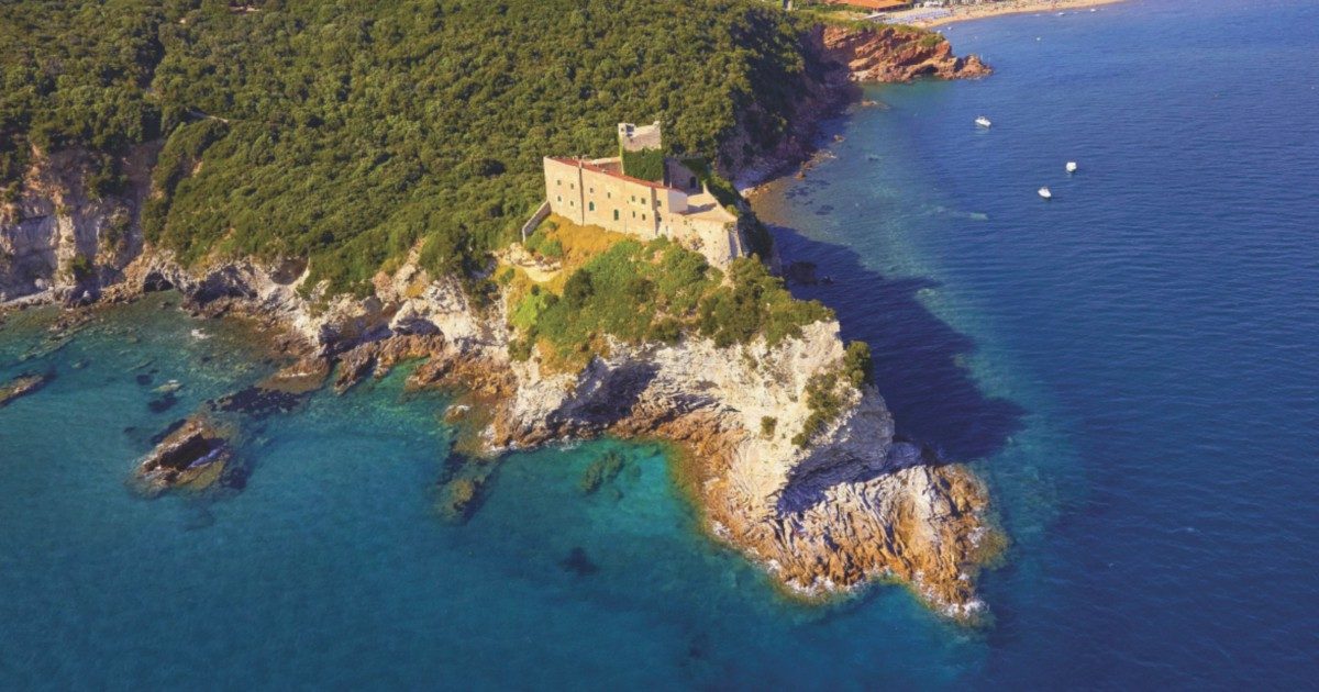 Roccamare, incursione nella pineta letteraria di Calvino, Citati & C ...