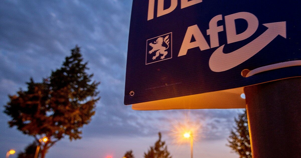 Germania, nasce il fronte per mettere al bando l'AfD: verso il ricorso ...