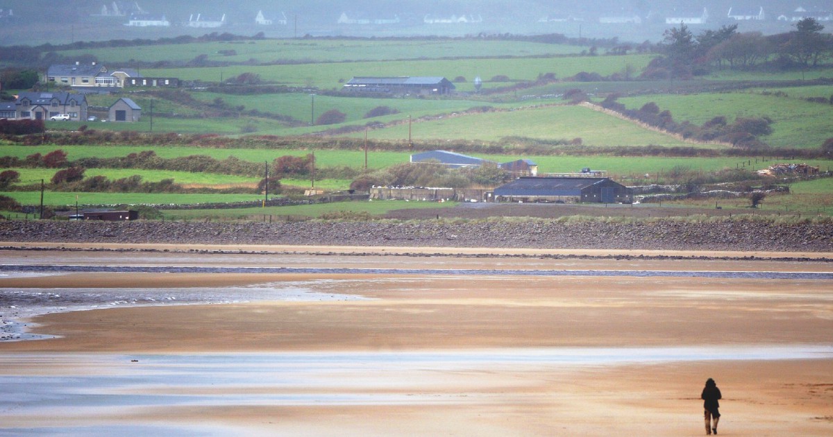 La lunga estate in casa Kinsella per capire la vita - Il Fatto Quotidiano
