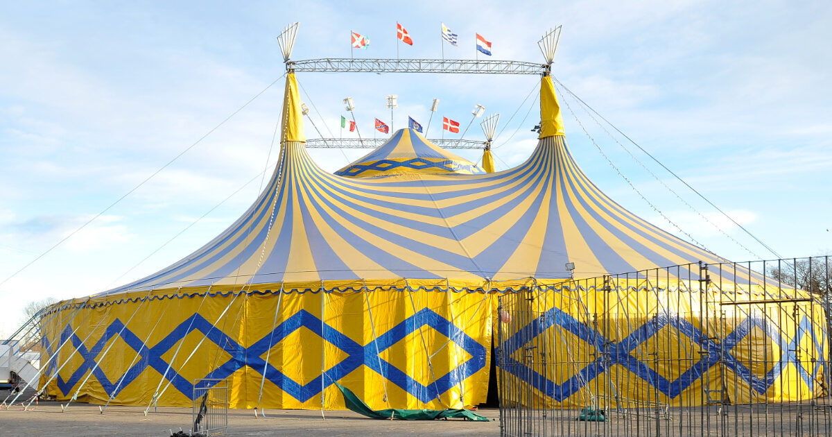 Cercano di aprire le gabbie di tigri e leoni al circo di Maya Orfei a ...