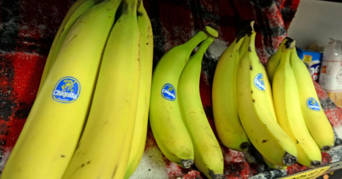 Chiquita: licenziamenti di massa a Panama - Il Fatto Quotidiano